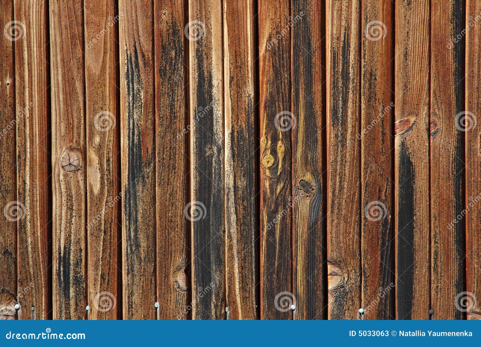 Beautiful wood texture stock image. Image of floor, material - 5033063