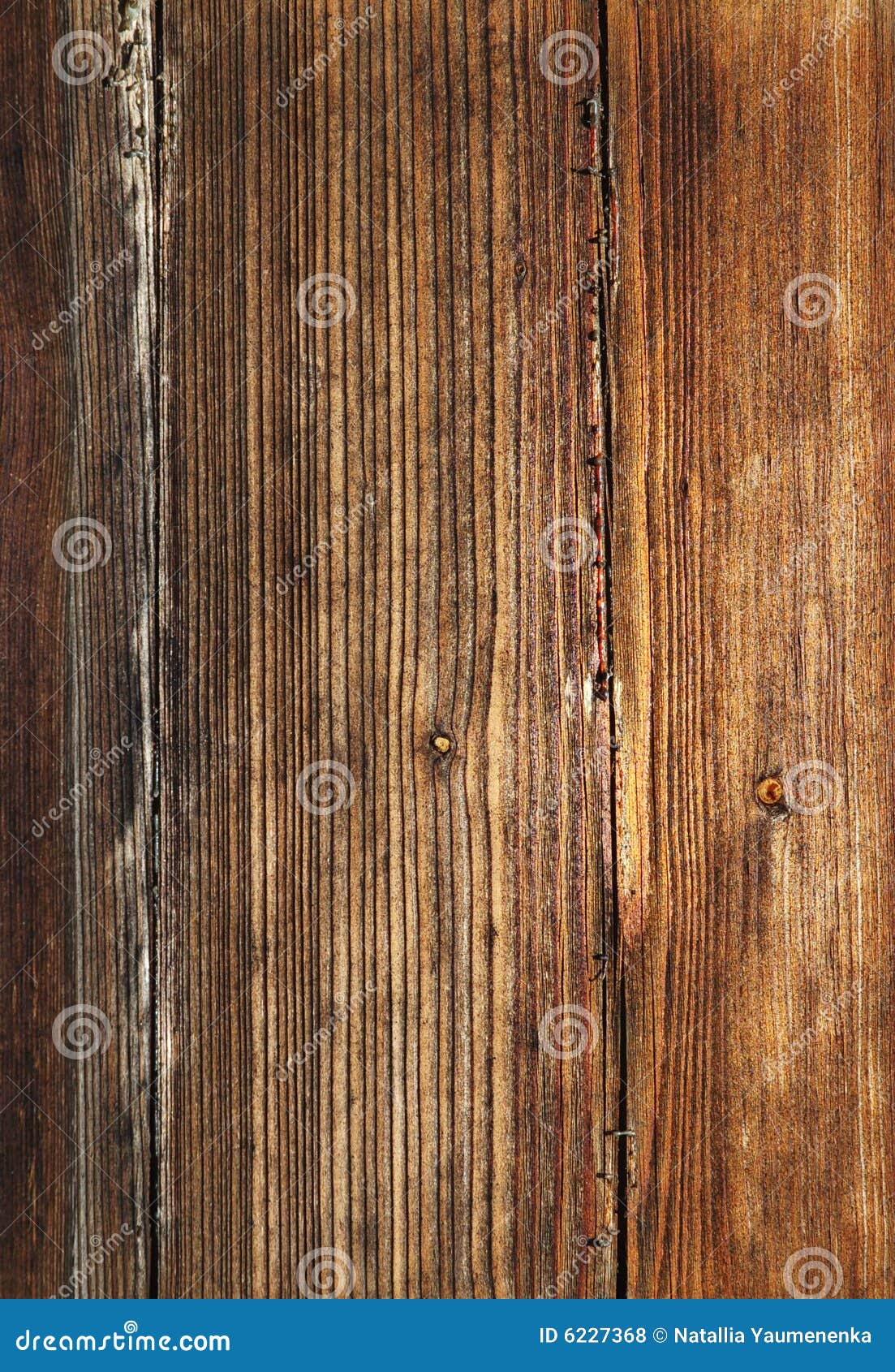The Beautiful Wood Texture. Wood Background. Royalty-Free Stock ...