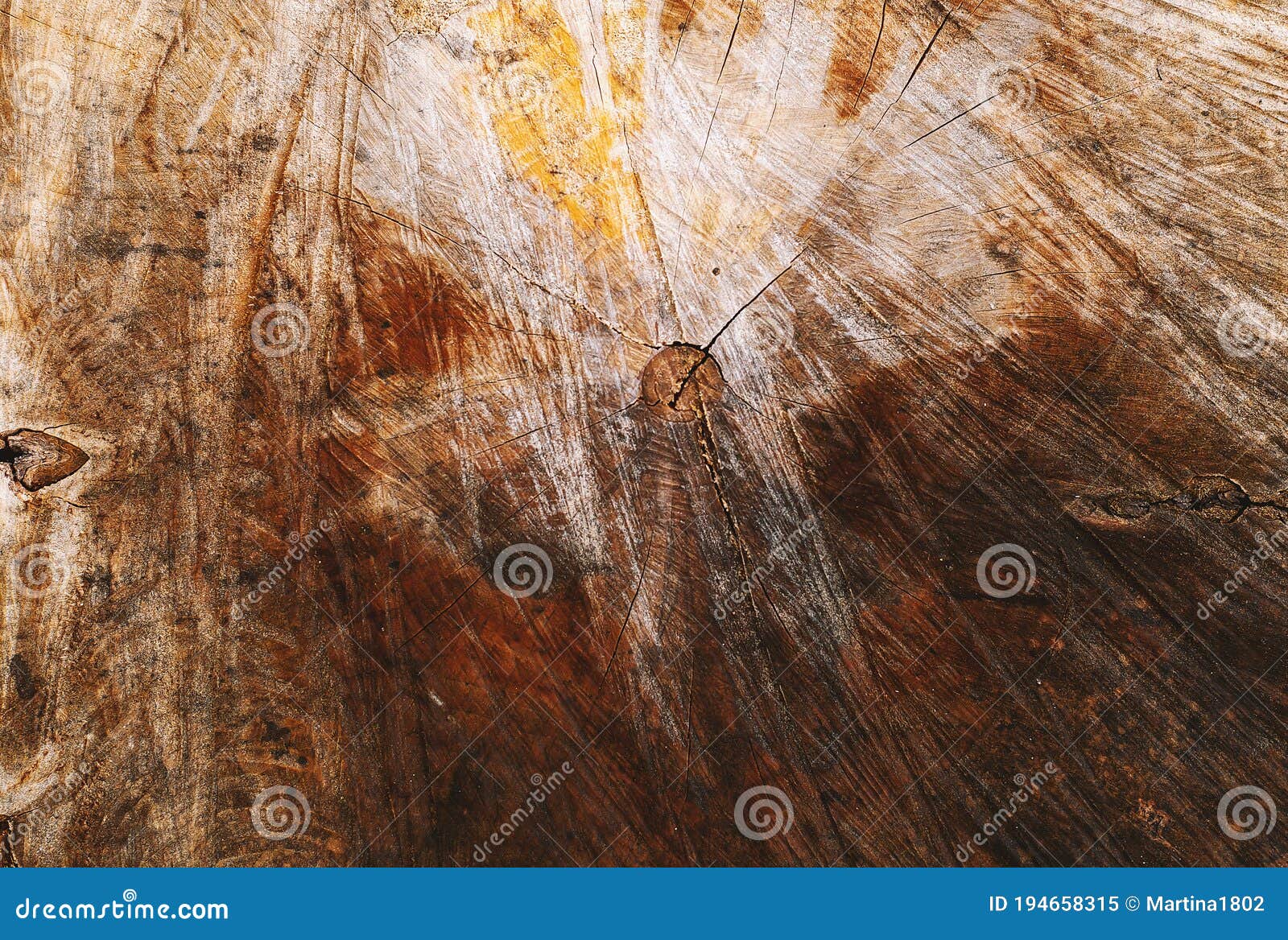 Wood texture. Cut tree stock image. Image of brown, trunk - 194658315