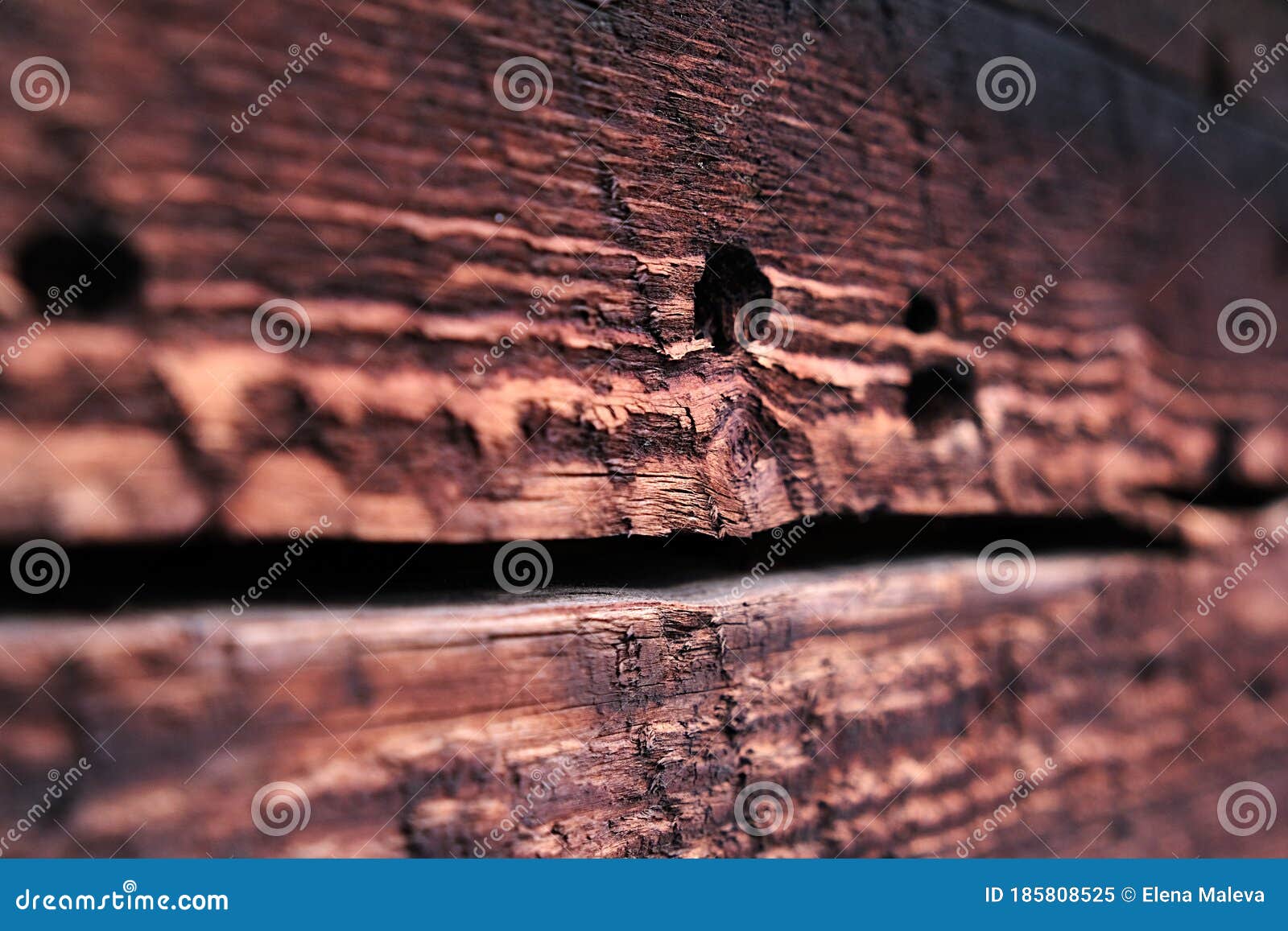 Beautiful Wood Texture Side View Stock Image - Image of vintage, view ...