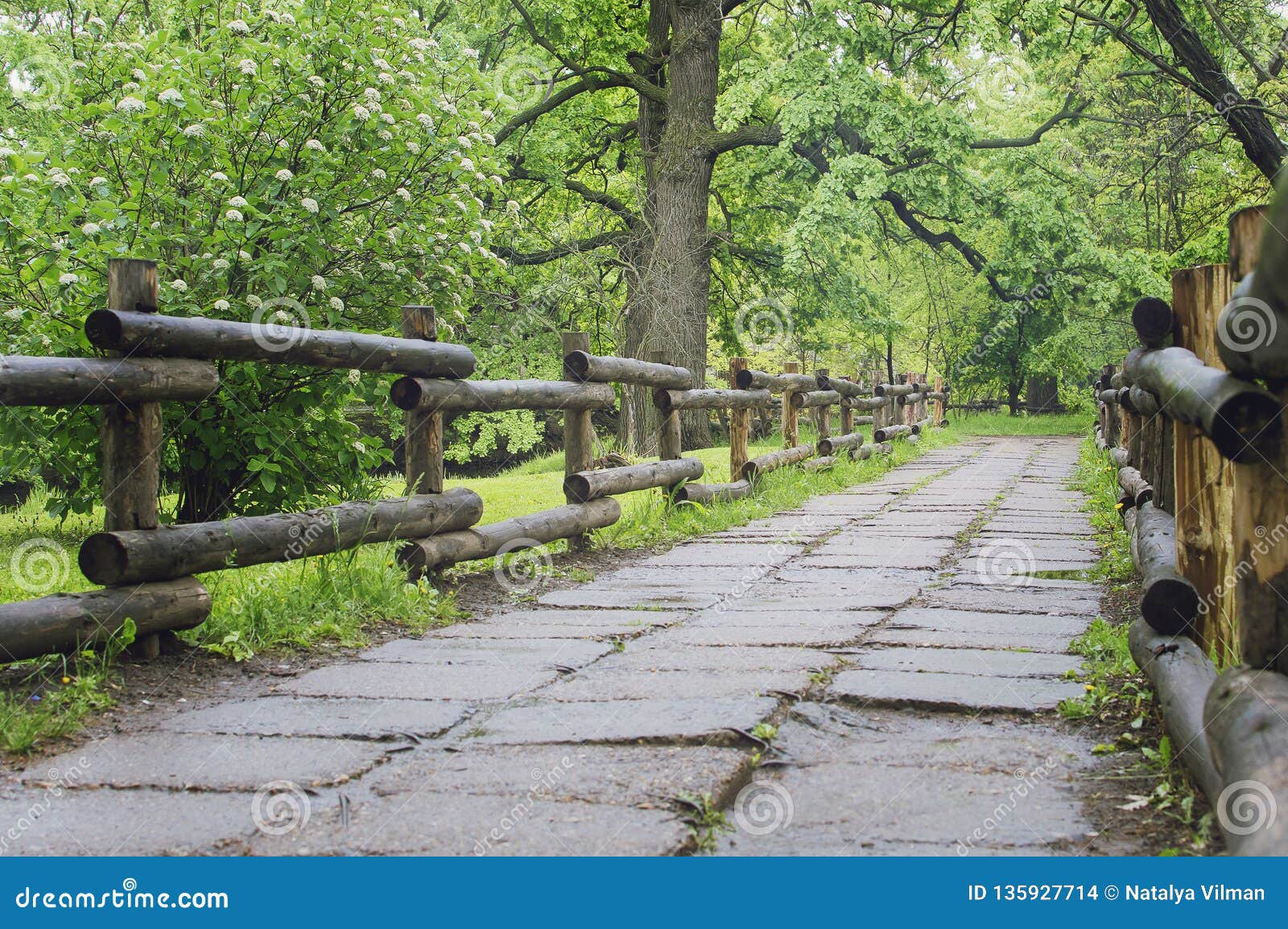 Beautiful Wooden Dead Hedge Stock Photo - Image of ancient, design ...