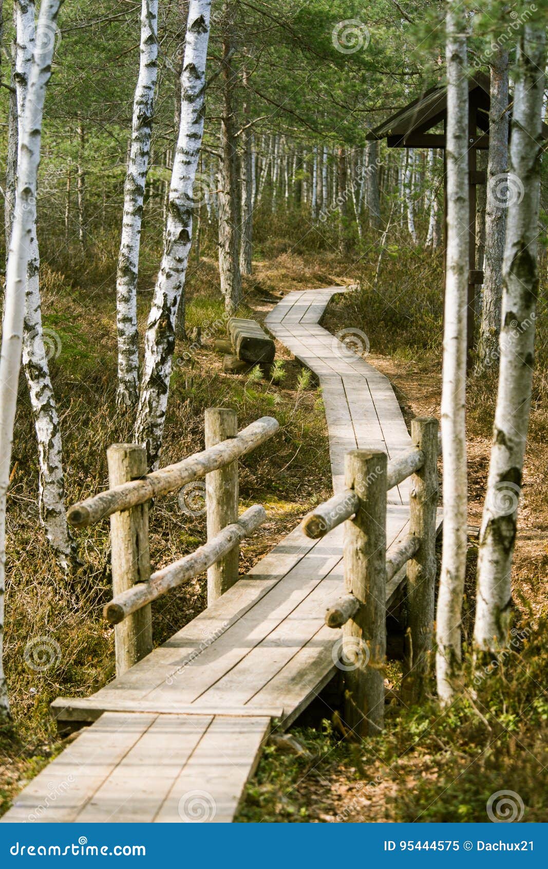 A Beautiful Wooden Footpath in a Marsh Stock Image - Image of nature ...