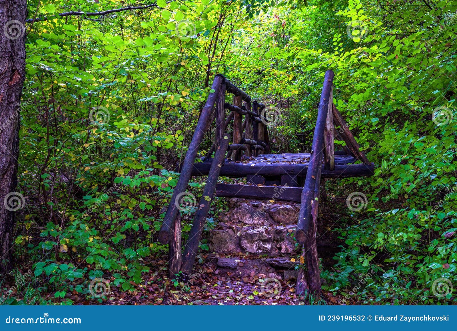 Wooden Handmade Bridge in the Footpath Forest Stock Photo - Image of ...