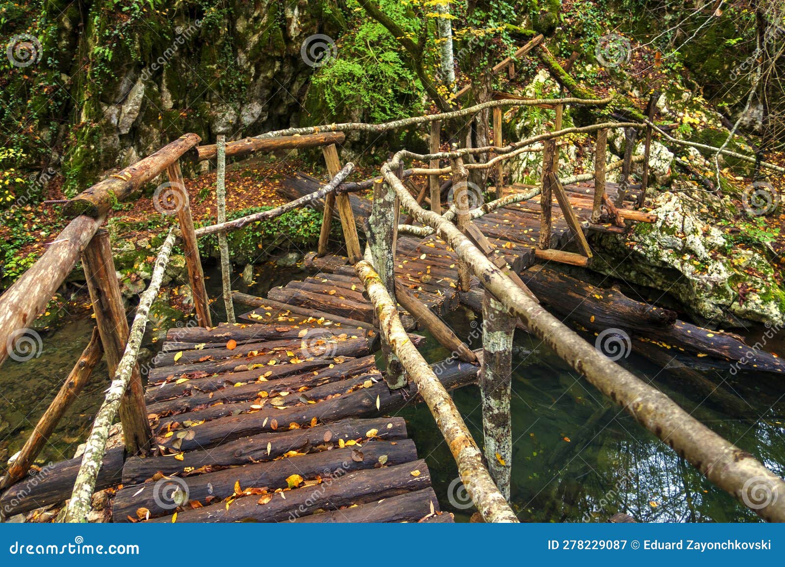 Beautiful Wooden Handmade Bridge in the Forest Stock Image - Image of ...
