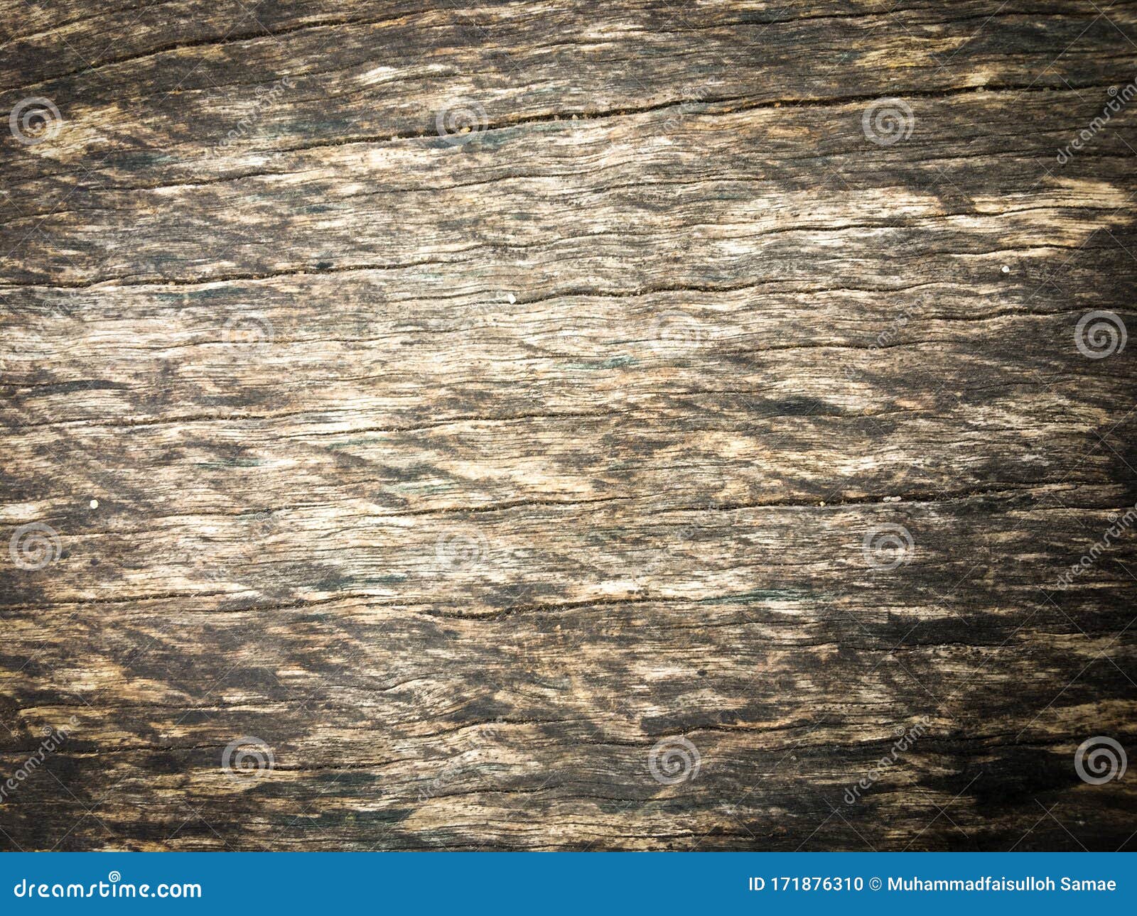 Beautiful Wooden Pattern Background for Work and Design Stock Photo ...