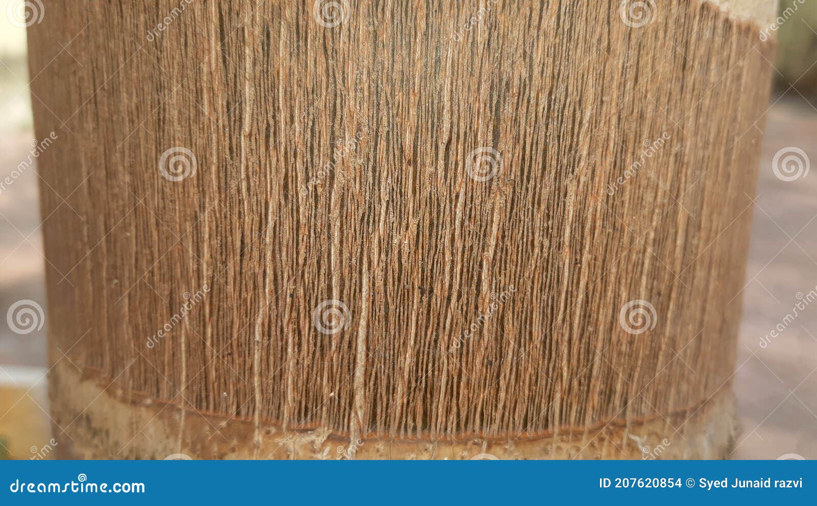 A Beautiful Wooden Pattern of a Stem Stock Photo - Image of soil, wall ...