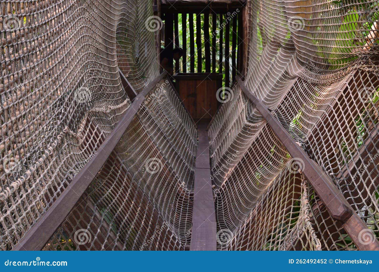 Beautiful Wooden Structure with Rope Bridge in Greenhouse Editorial ...