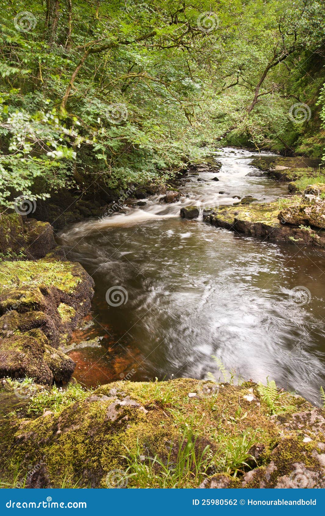 Beautiful Woodland Stream and Waterfall in Summer Stock Photo - Image ...