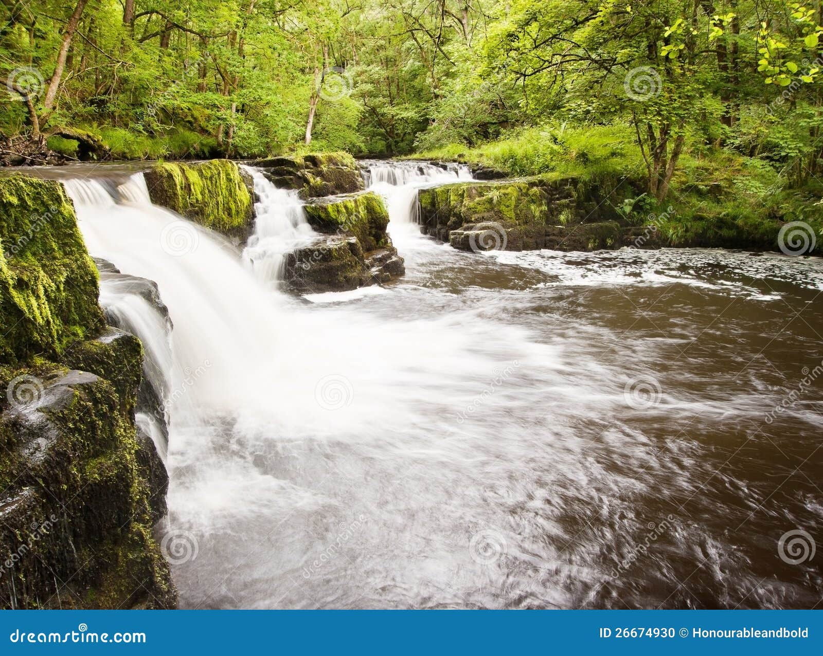 Beautiful Woodland Stream and Waterfall in Summer Stock Photo - Image ...