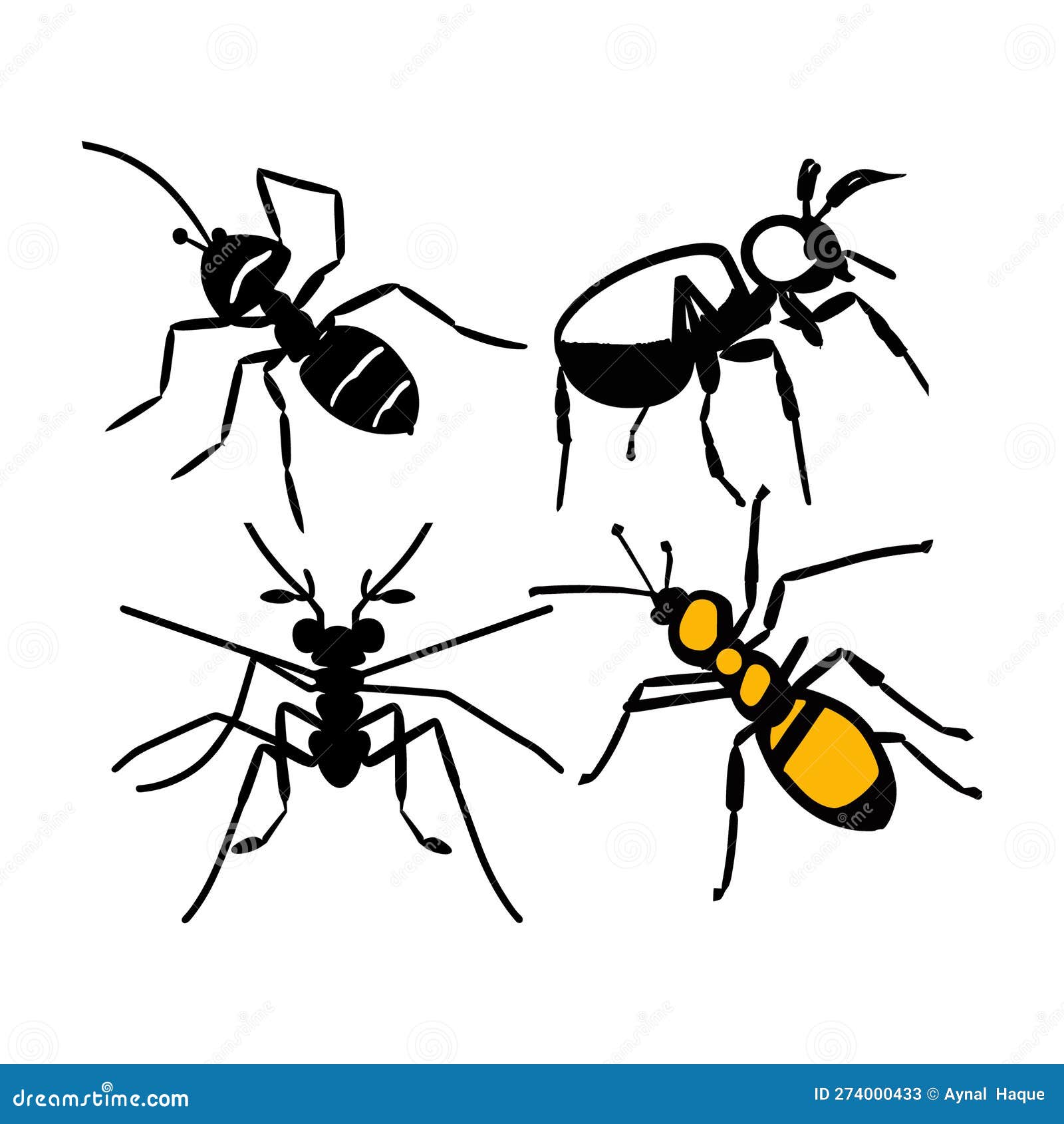 Worker Ants Trail Line Flat Style Design Vector Illustration Isolated ...