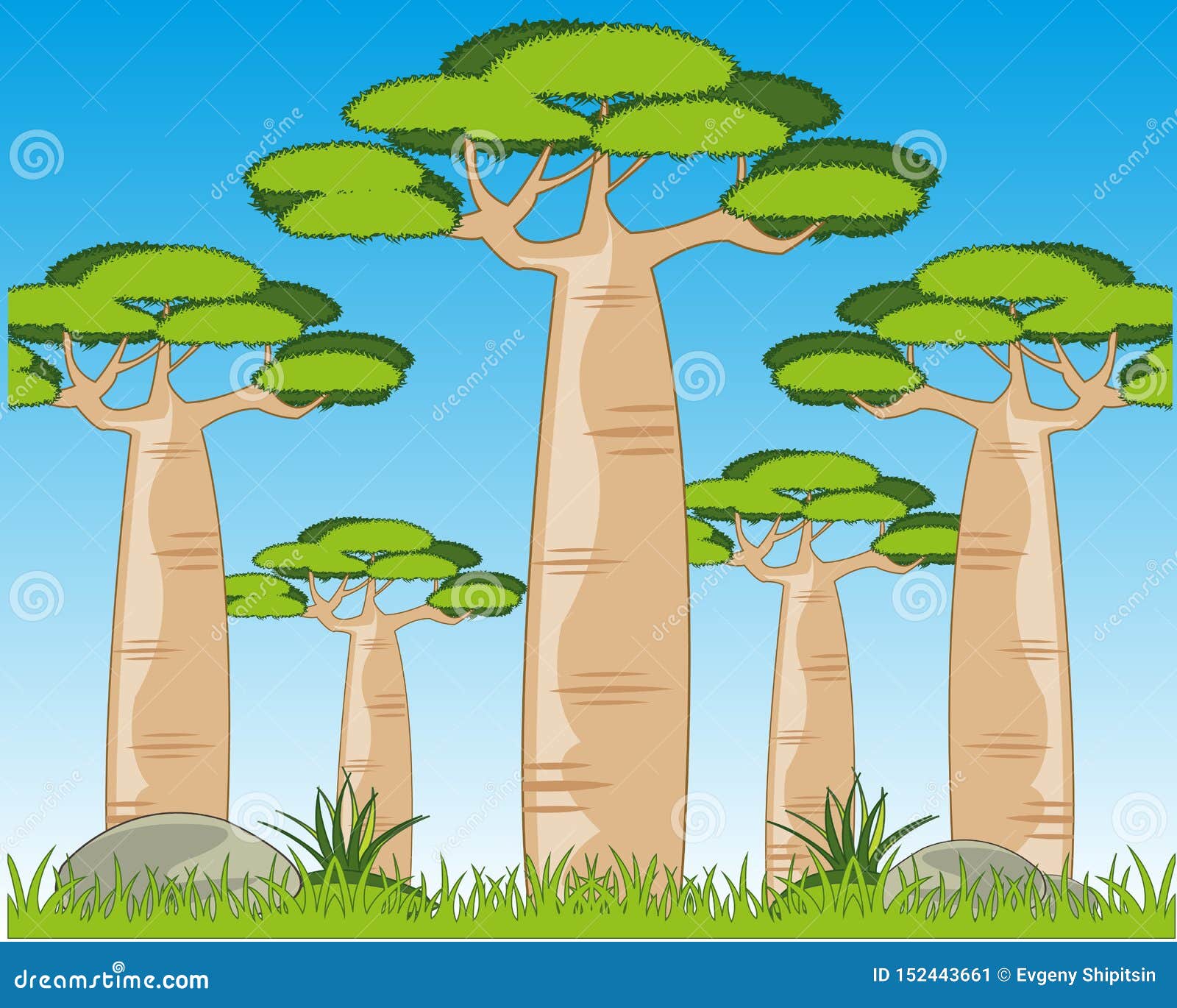 Beautiful Year Landscape with with Tree Baobab Stock Illustration ...