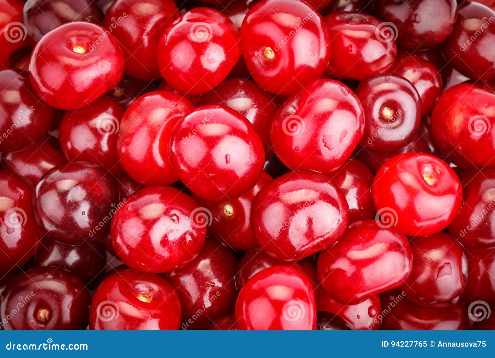 Beautiful Years of Ripe Cherries. Stock Image - Image of confectionery ...