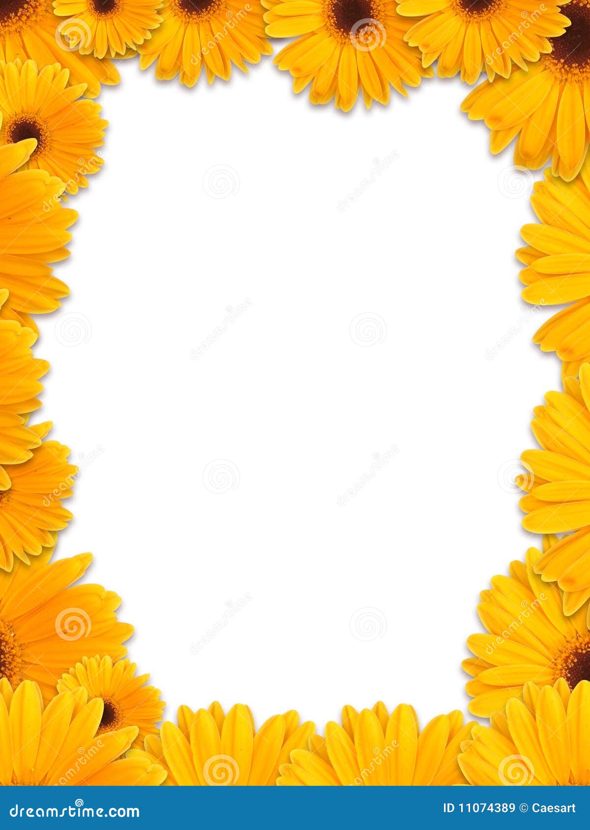 Beautiful Yellow Flower Frame Royalty Free Stock Images - Image: 11074389