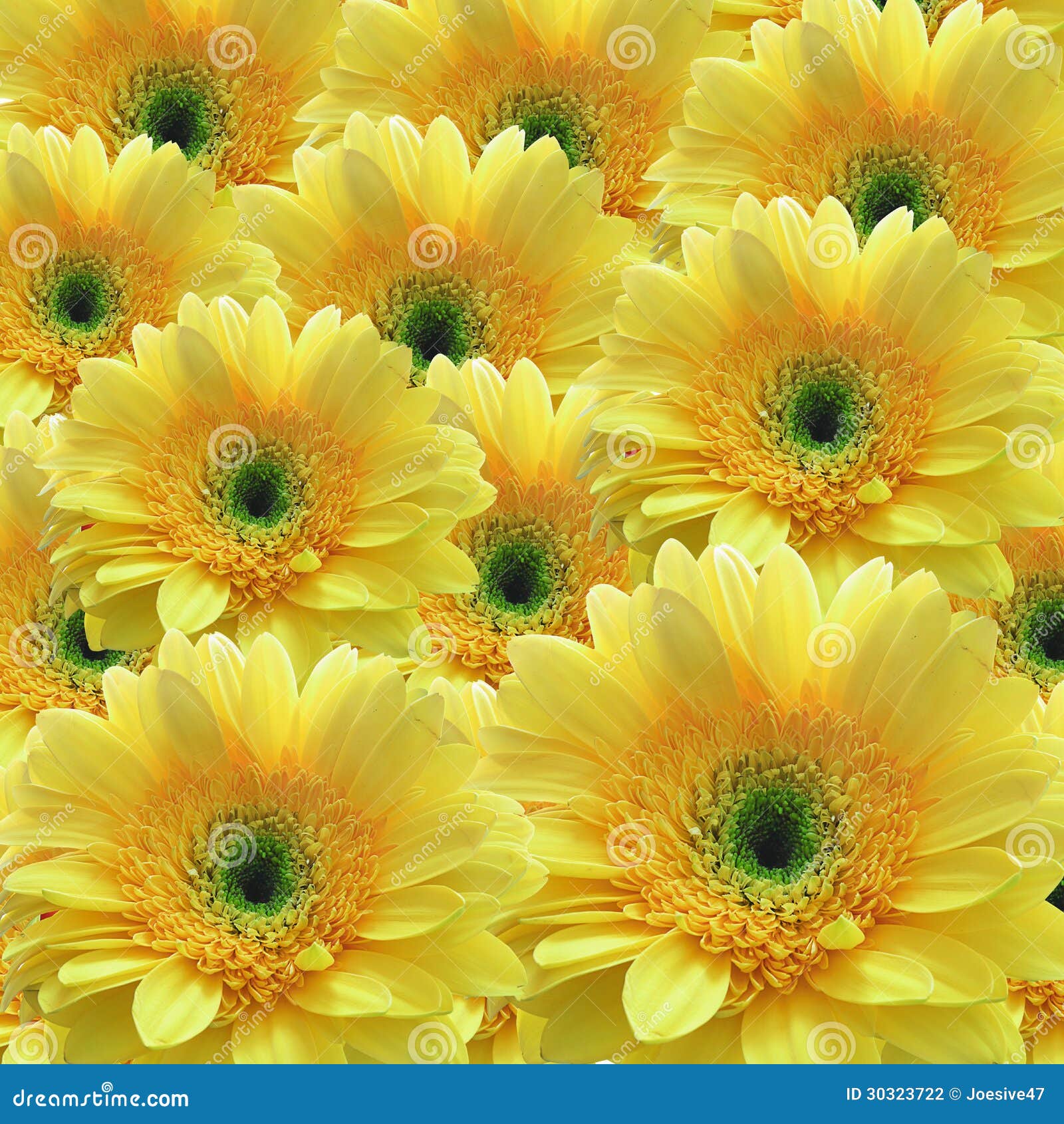 Beautiful Yellow Flower Petals Stock Photo - Image of natural, happy ...