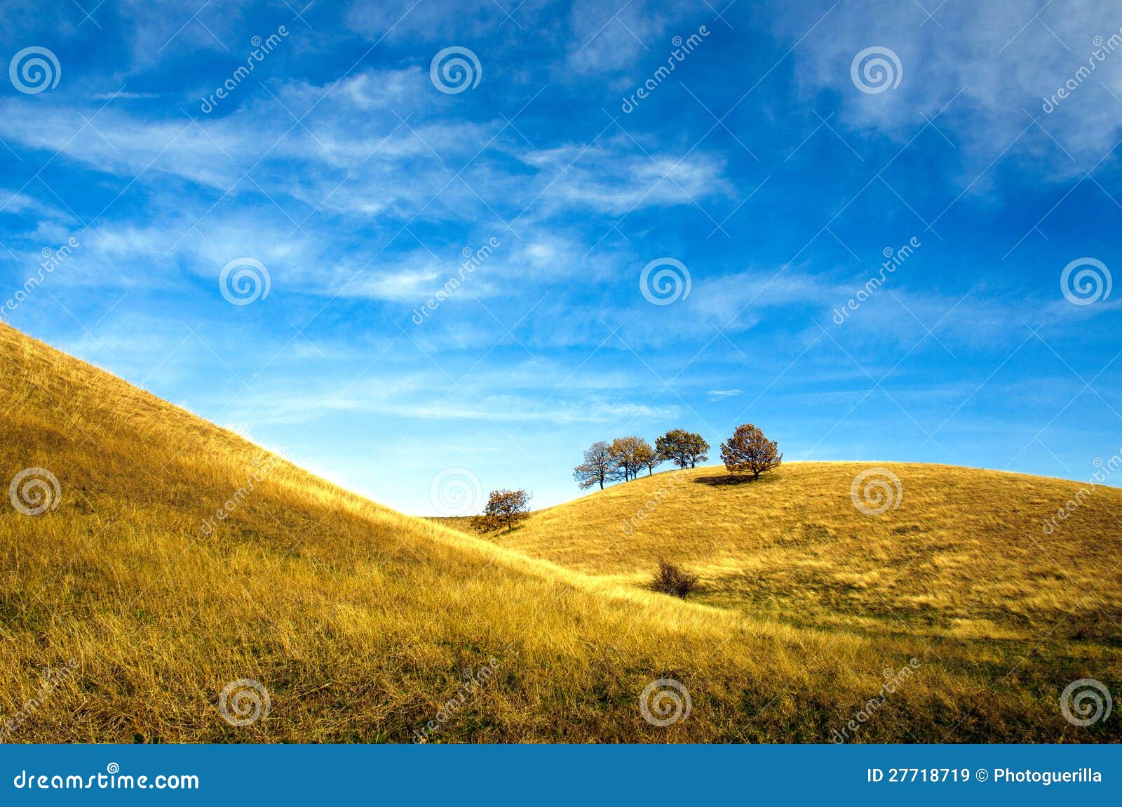 Beautiful yellow hills stock image. Image of outside - 27718719