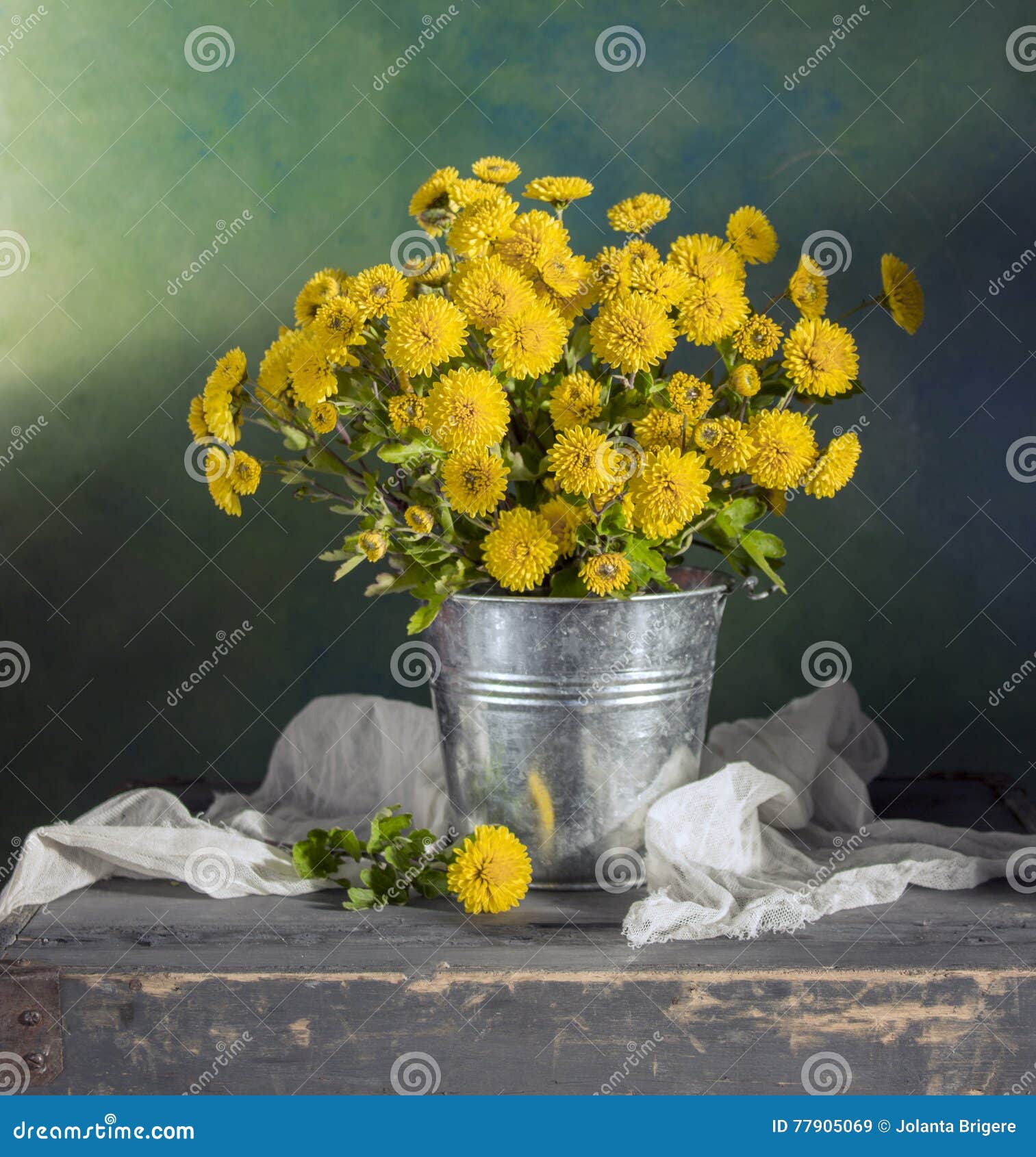 Beautiful yellow mums stock image. Image of seasonal - 77905069