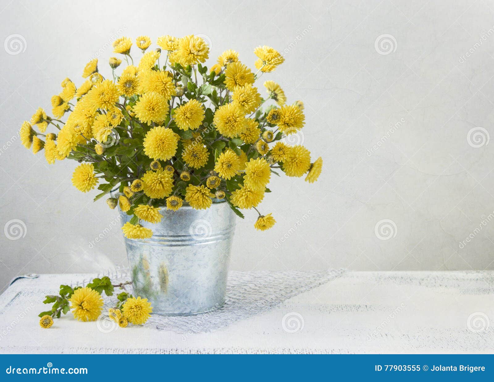 4,109 Beautiful Yellow Mums Stock Photos - Free & Royalty-Free Stock ...
