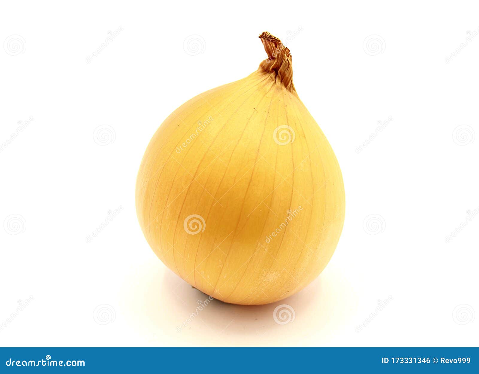 Beautiful yellow onion stock photo. Image of onions - 173331346