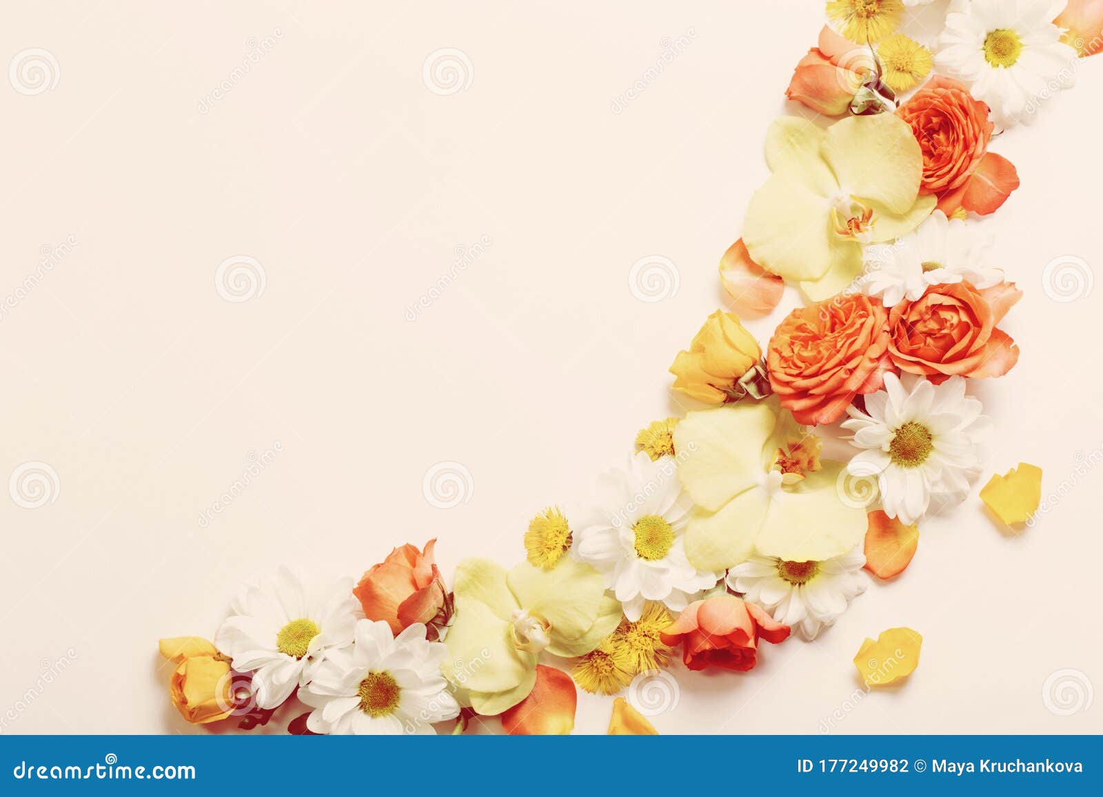 Yellow and Orange Floral Pattern on White Background Stock Photo ...