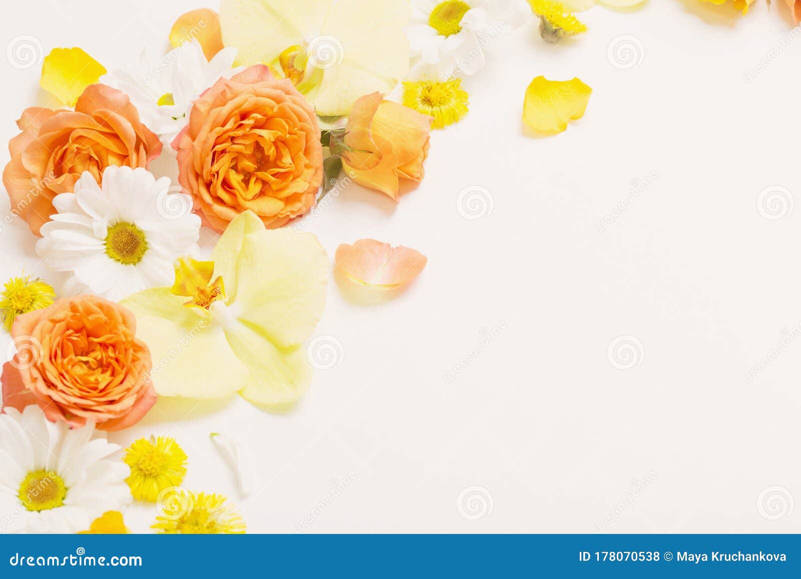 Yellow and Orange Floral Pattern on White Background Stock Photo ...