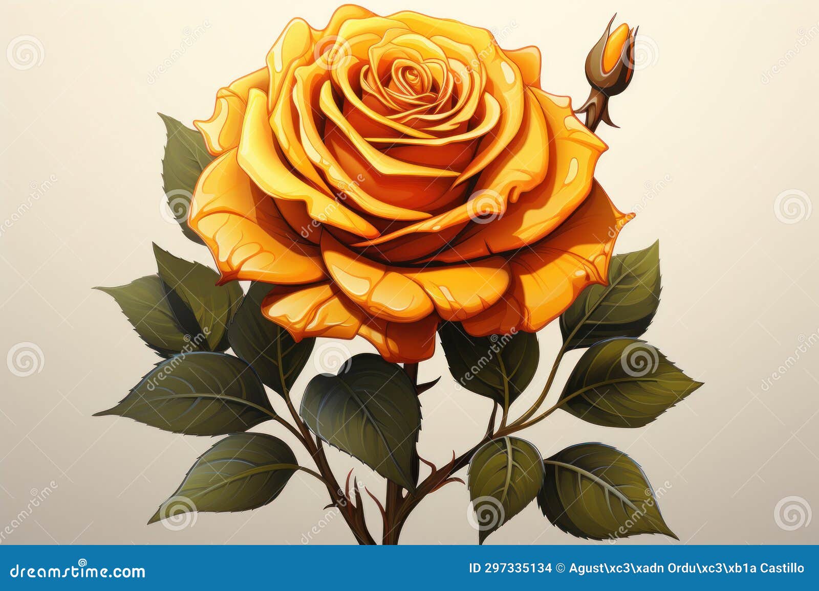 Beautiful Yellow Rose, on a White Background. Stock Photo - Image of ...