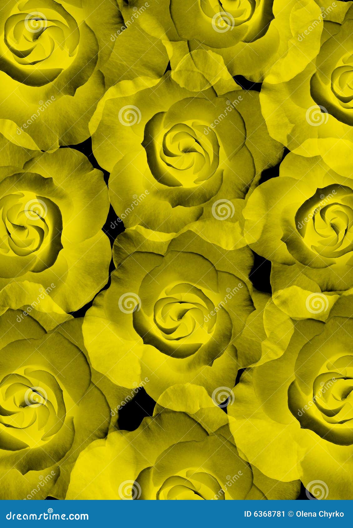 Beautiful Yellow Shining Roses Stock Illustration - Illustration of ...