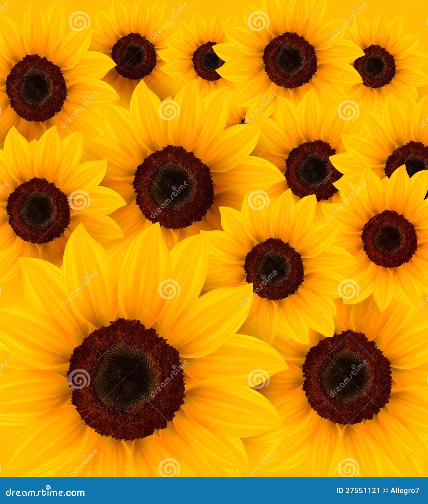 Beautiful Yellow Sunflower Background Stock Illustration - Illustration ...