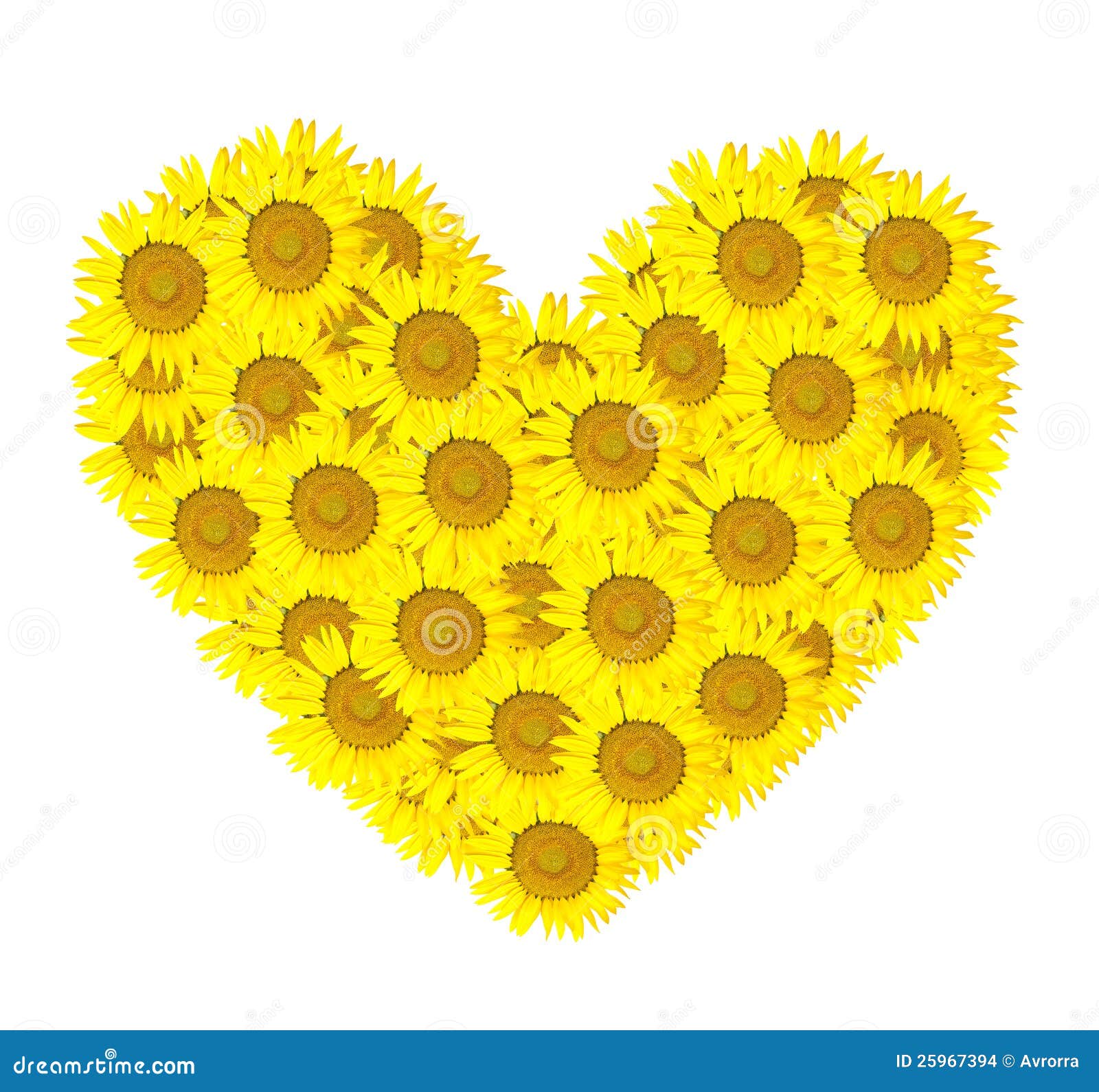 Beautiful Yellow Sunflower Heart Stock Photo - Image of botany ...