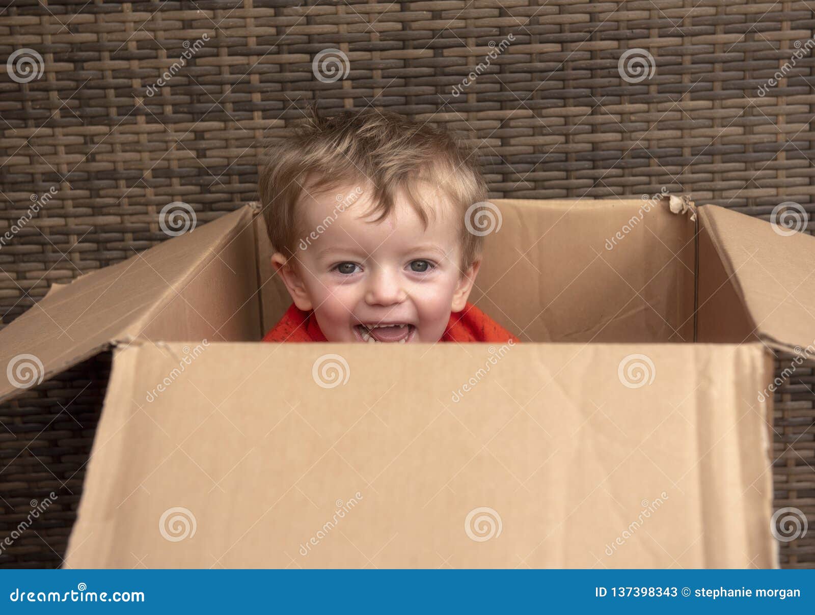 Beautiful Young Boy Playing in a Cardboard Box Stock Image - Image of ...
