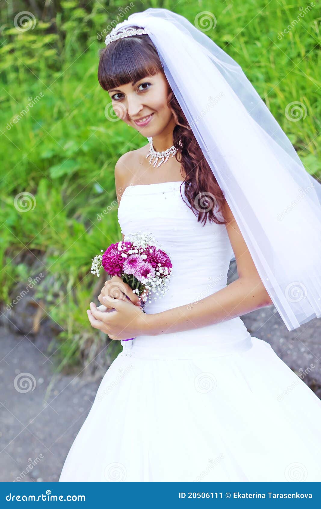 Beautiful young bride stock image. Image of elegance - 20506111