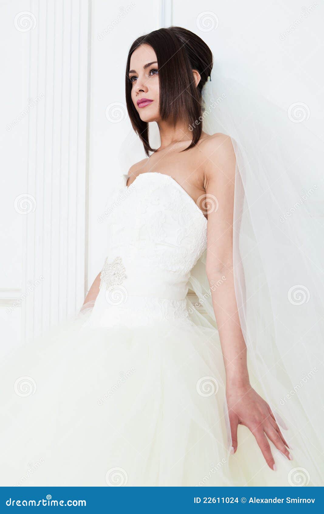 Beautiful young bride stock photo. Image of beauty, gorgeous - 22611024