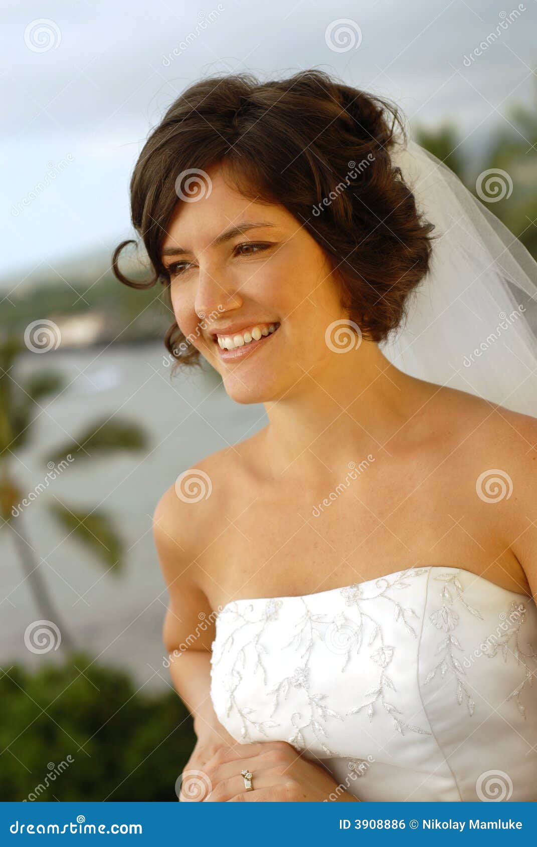 Beautiful young bride stock photo. Image of outside, future - 3908886