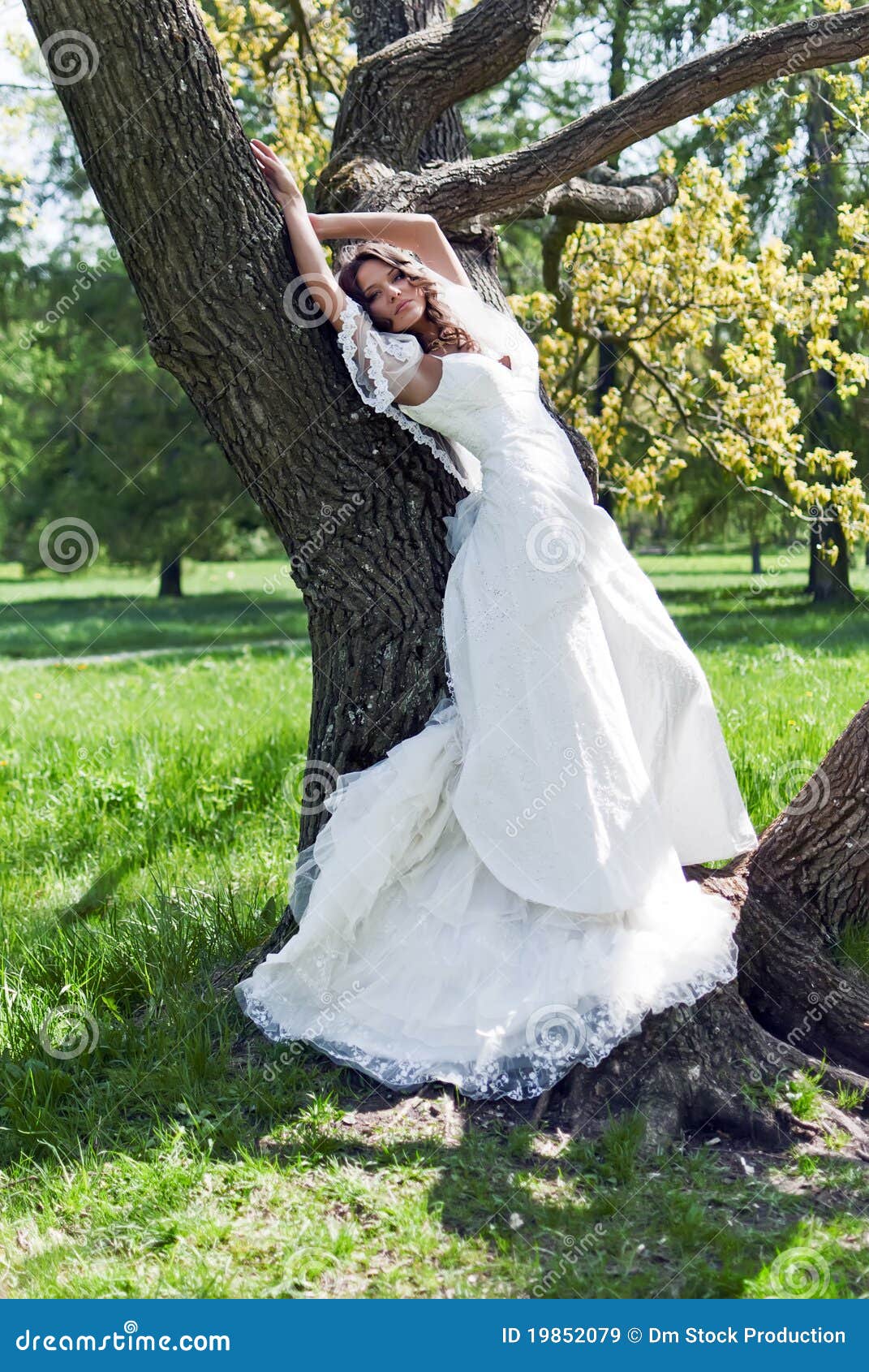 Beautiful Young Bride Leaned Against a Tree Stock Image - Image of ...