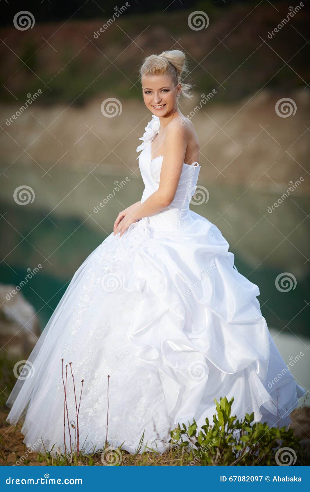 Beautiful young bride stock image. Image of nature, cheerful - 67082097