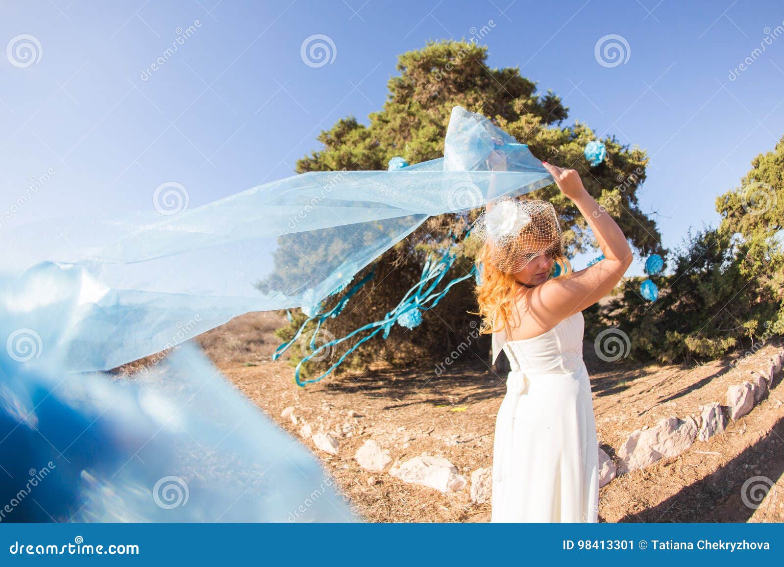 Beautiful Young Bride. Wind Lifting Long Bridal Veil Stock Image ...