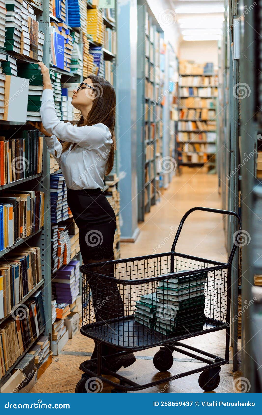 Library Worker Putting Books in Order Stock Image - Image of attractive ...