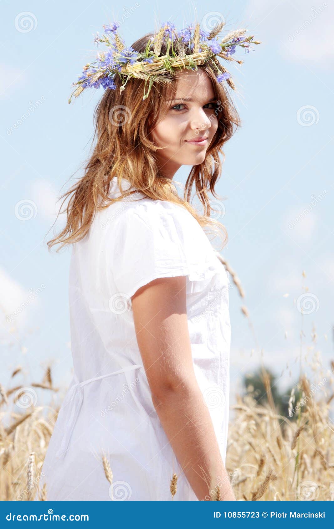Beautiful Young Girl in Summer Field Stock Image - Image of corn ...