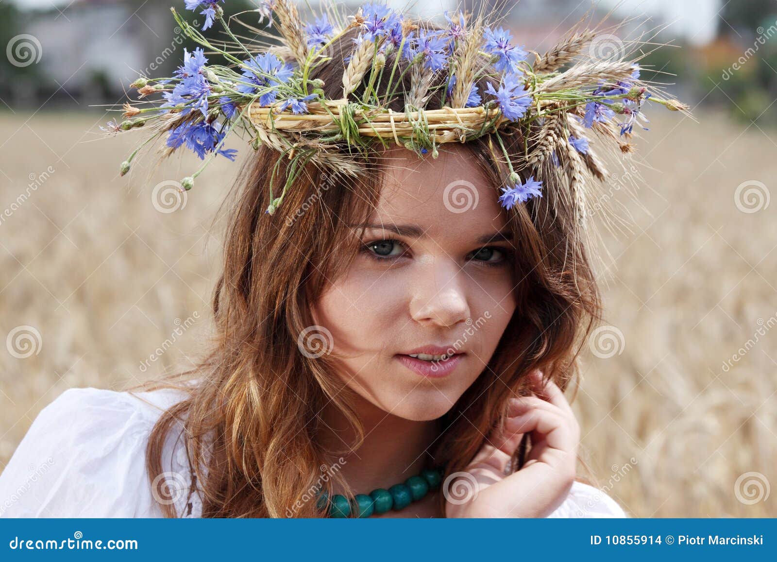 Beautiful Young Girl in Summer Field Stock Photo - Image of grass, corn ...