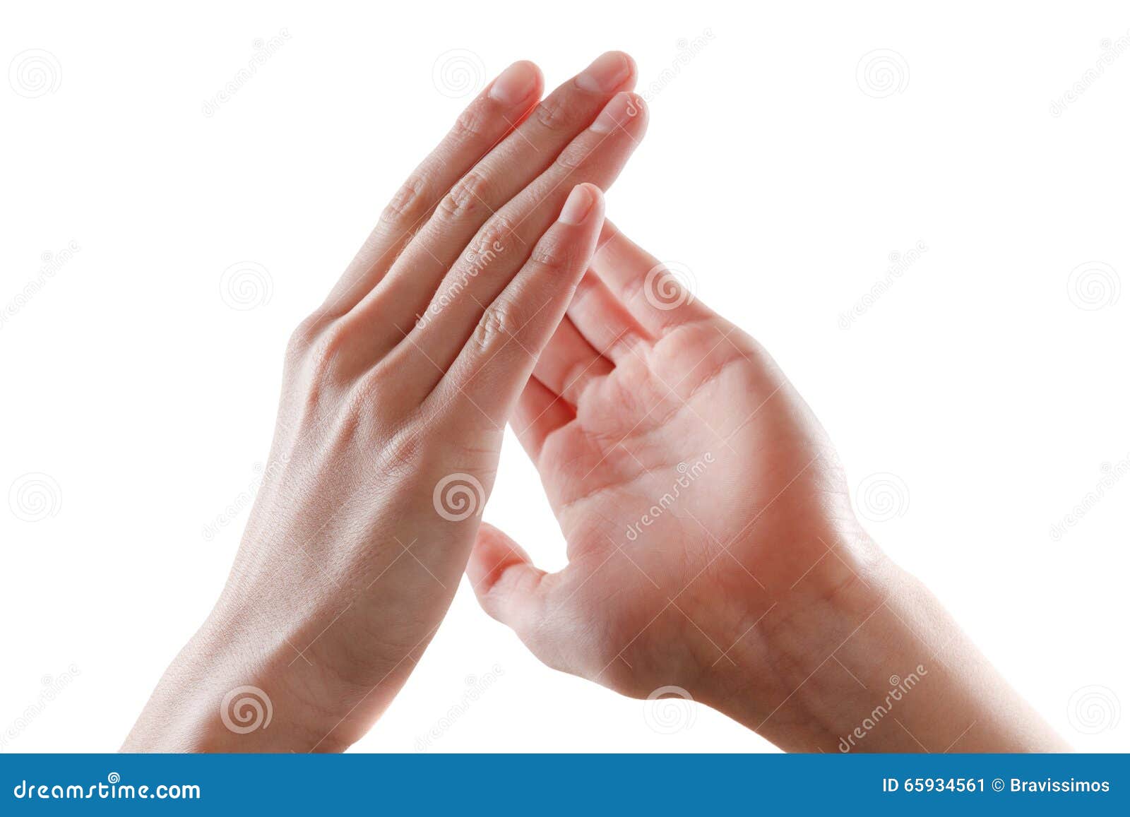 Beautiful Young Guy Hands Isolated on White Background Applause Stock ...