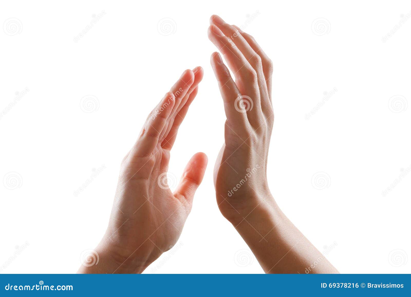 Beautiful Young Guy Hands Isolated on White Background Applause Stock ...