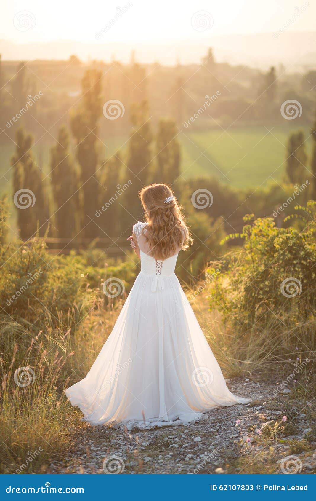 Beautiful Young Happy Bride Standing on the Top of the Mountain Stock ...