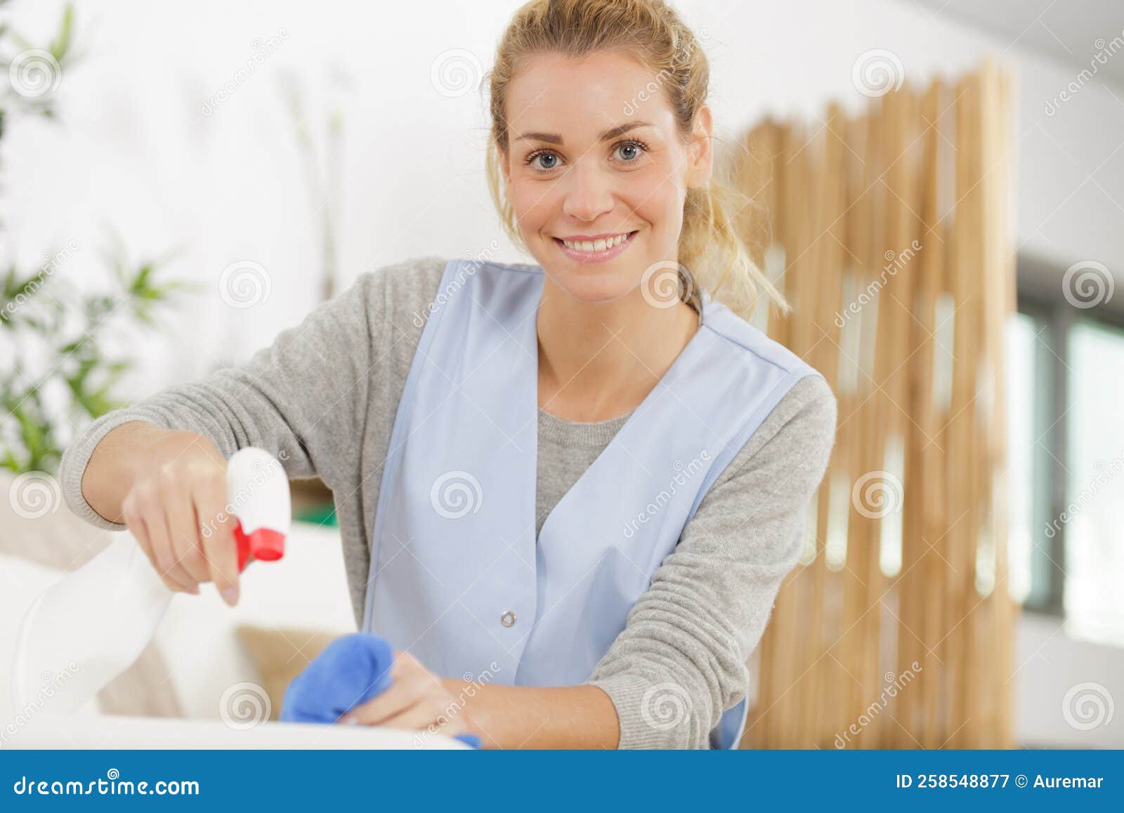 Beautiful Young Housekeeper Cleaning and Washing Kitchen Stock Image ...