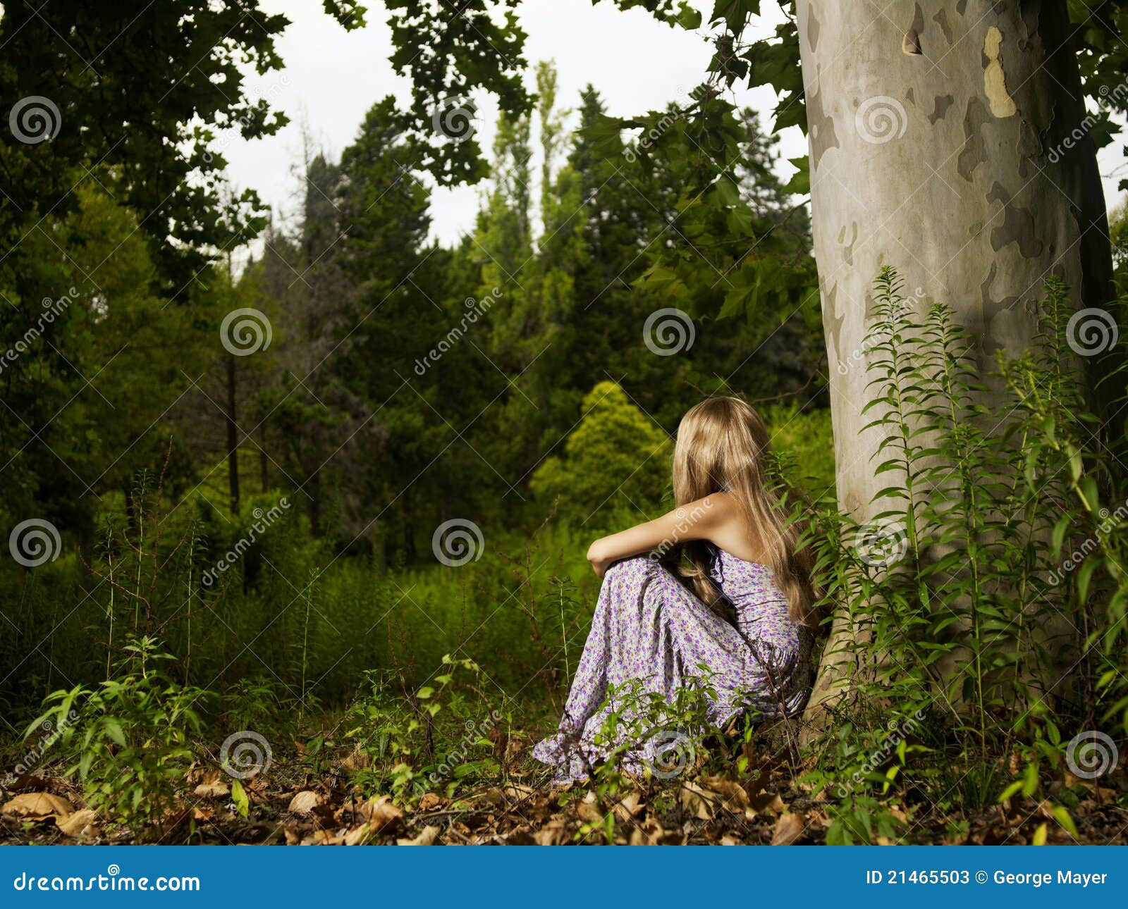Beautiful Young Lady in the Forest Stock Image - Image of happy ...
