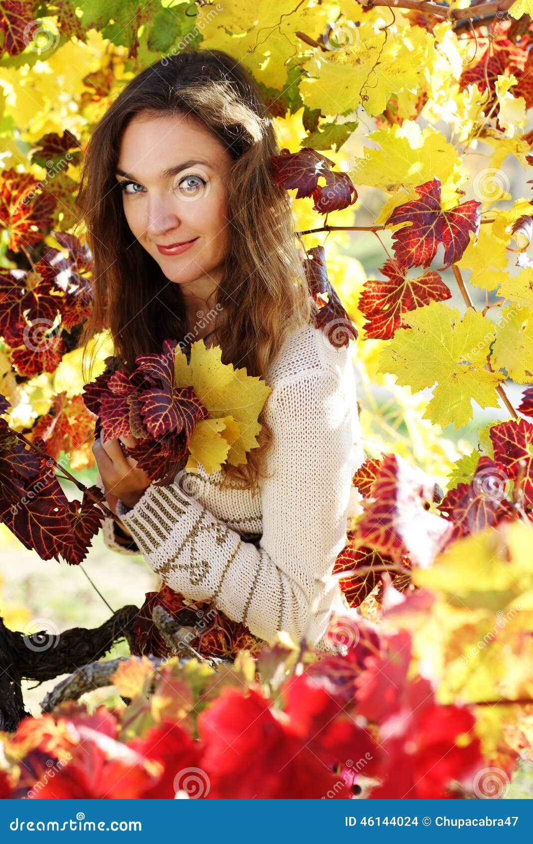 Beautiful Young Lady in Grape Vineyard Stock Photo - Image of ...