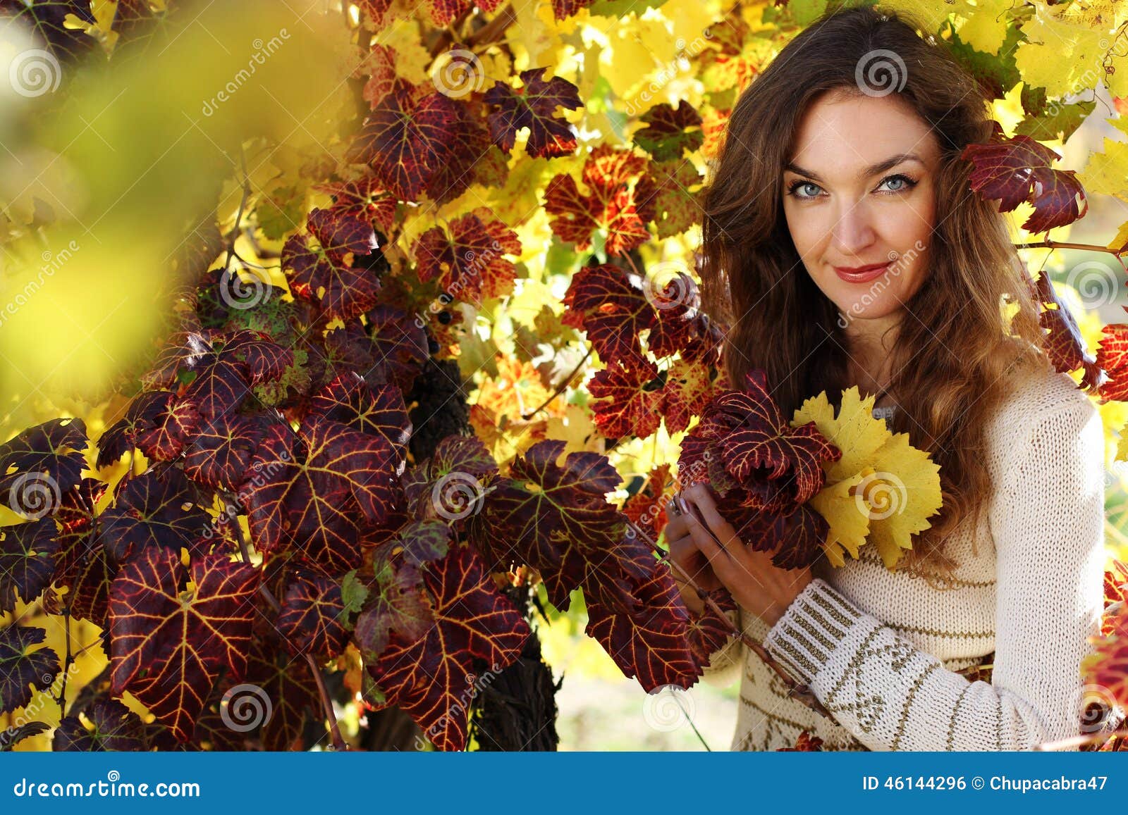 Beautiful Young Lady in Grape Vineyard Stock Photo - Image of girl ...