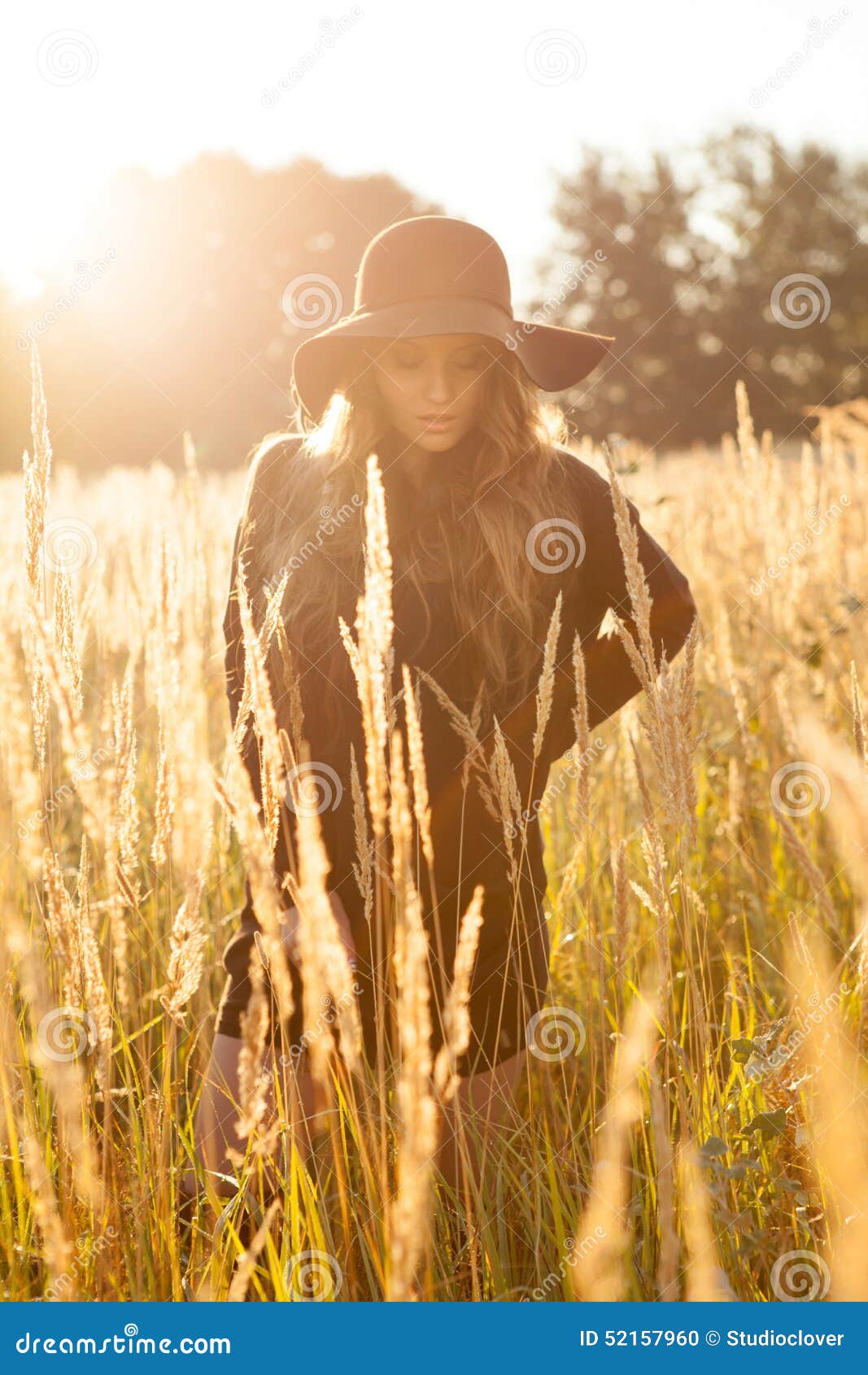 Beautiful Young Lady Model in Field Stock Photo - Image of evening ...