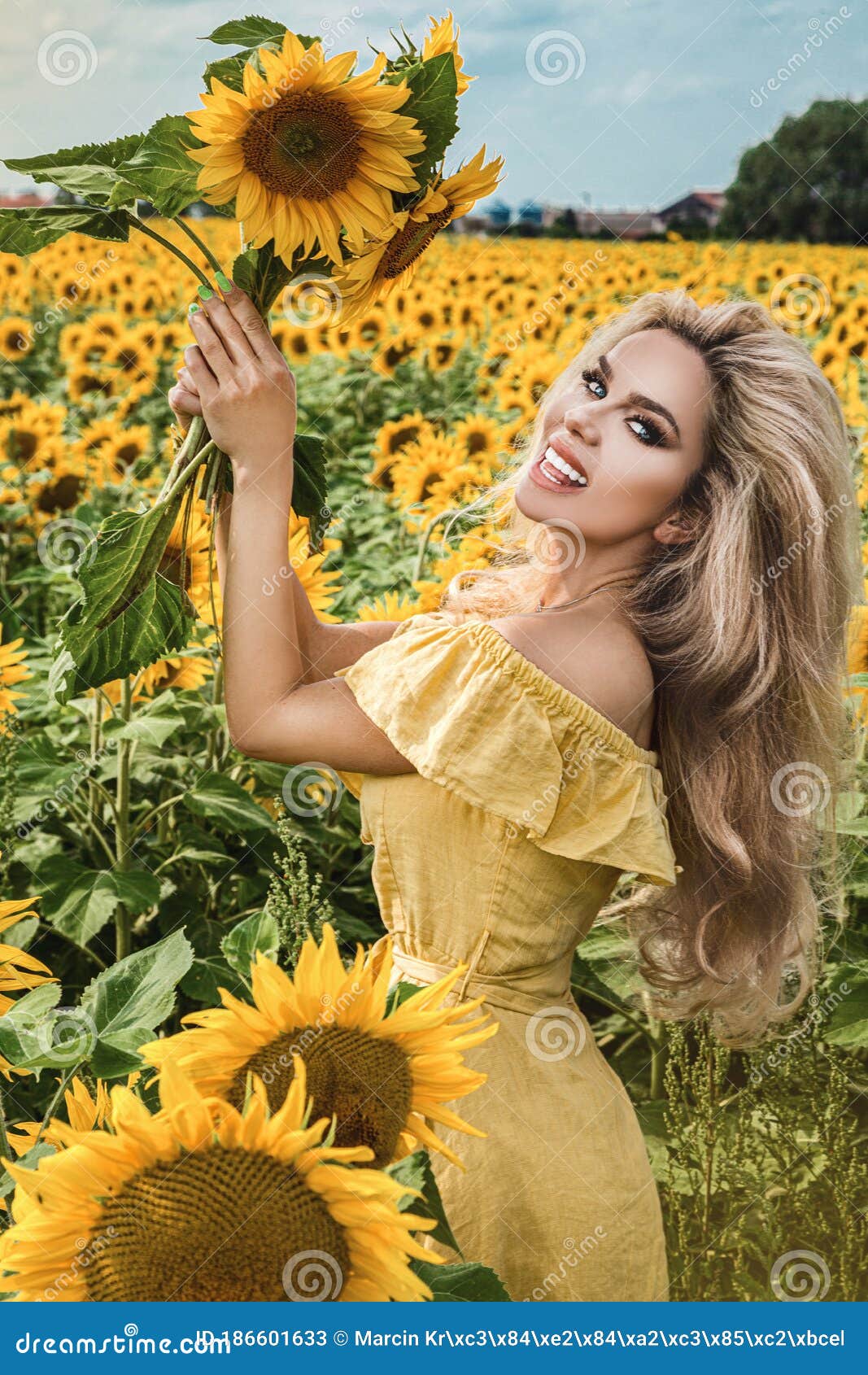 Beautiful Young Woman In A Field Of Sunflowers In A Yellow Dress Stock