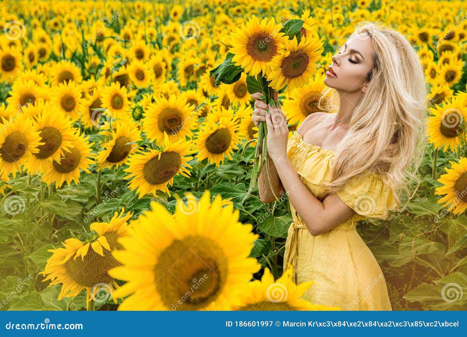 Beautiful Young Woman In A Field Of Sunflowers In A Yellow Dress Stock