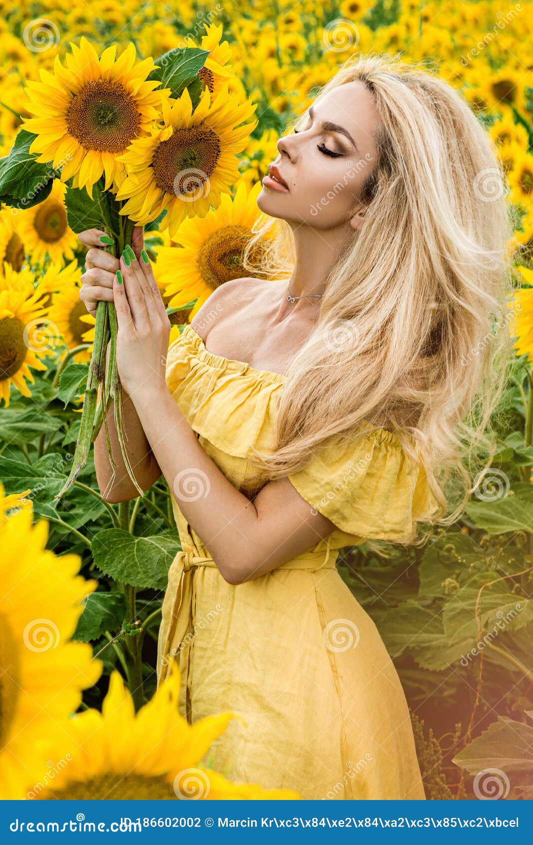 Beautiful Young Woman In A Field Of Sunflowers In A Yellow Dress Stock