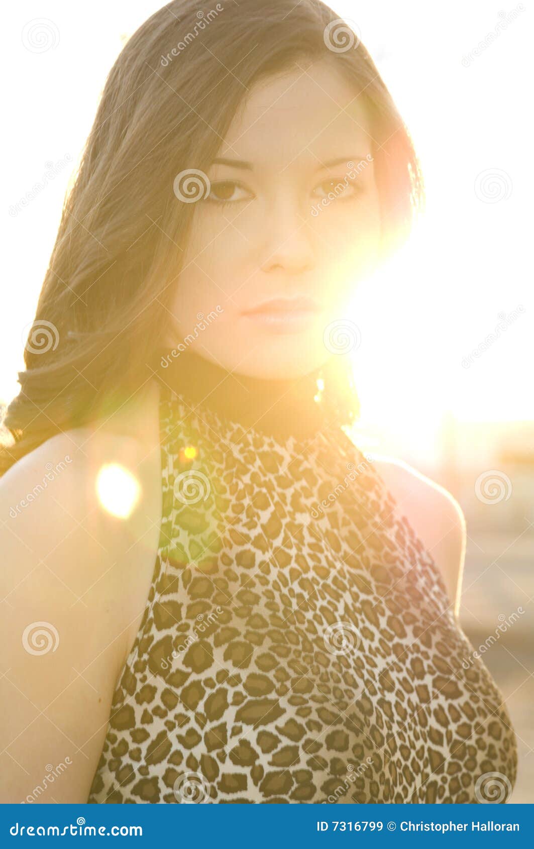 Beautiful Young Woman in Leopard Print Top Stock Image - Image of ...